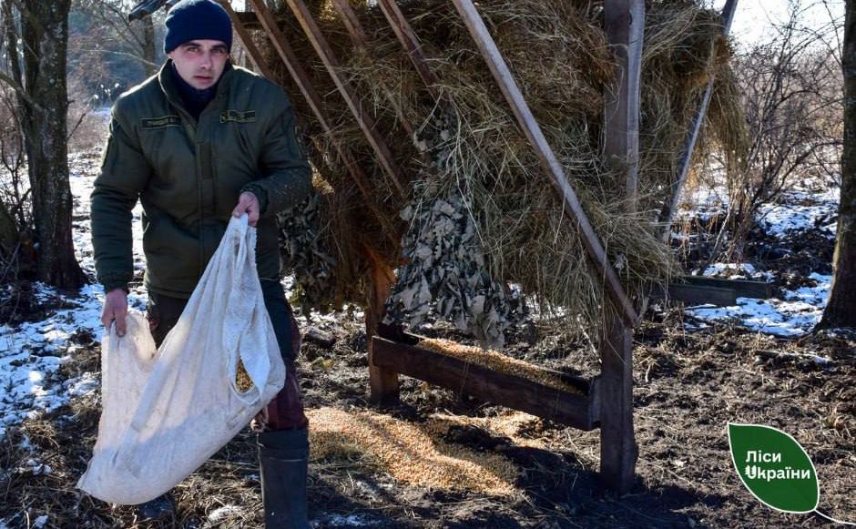 Лісівники підгодовують диких тварин Решетилівщина Ua