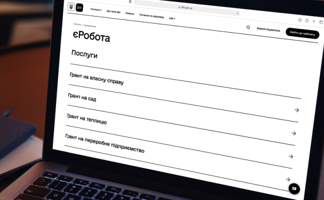 Українці подали понад 700 заяв на мікрогрант для власної справи Решетилівщина Ua